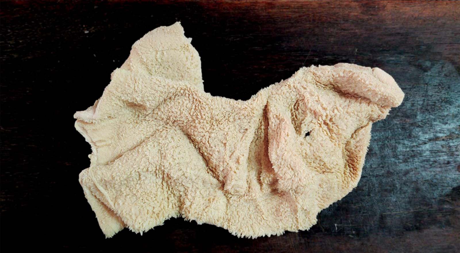 Flat Tripe – Guuuu